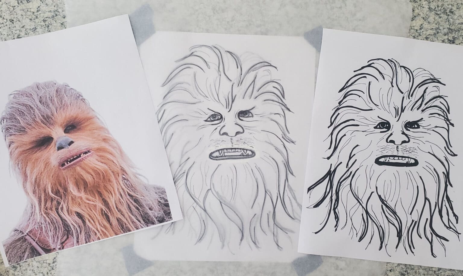 Chewbacca-Star Wars: May the 4th Be With You - Portlandia Pie Lady